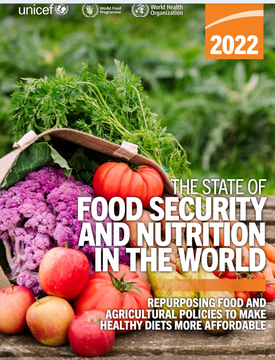 وضعیت امنیت غذایی و تغذیه جهان در سال ۲۰۲۲ | مطالعه در مسیر توسعه جوامع ...
